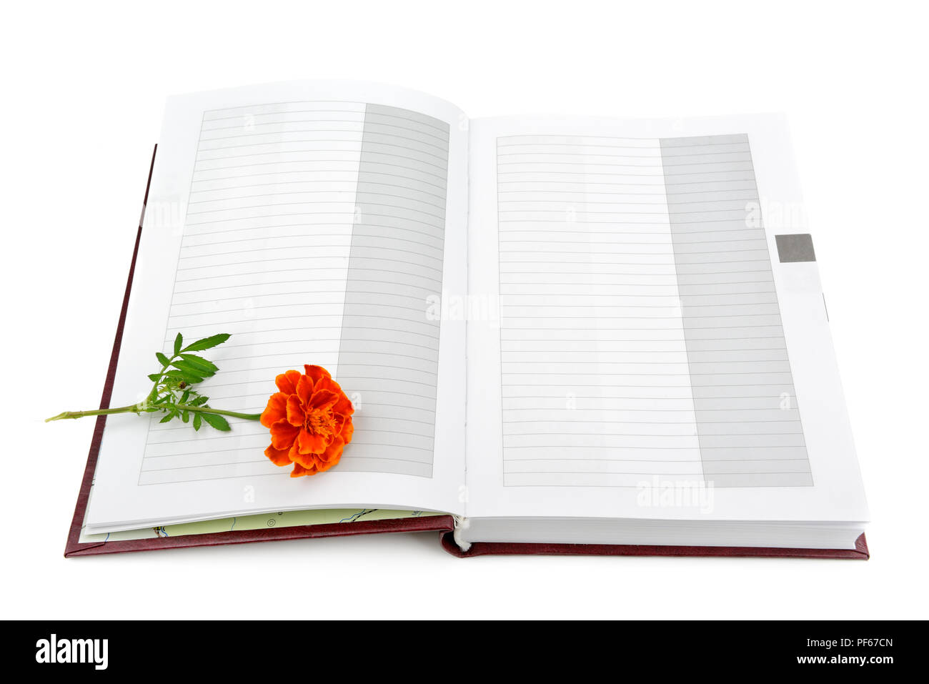 Book and flower isolated on white background Stock Photo - Alamy