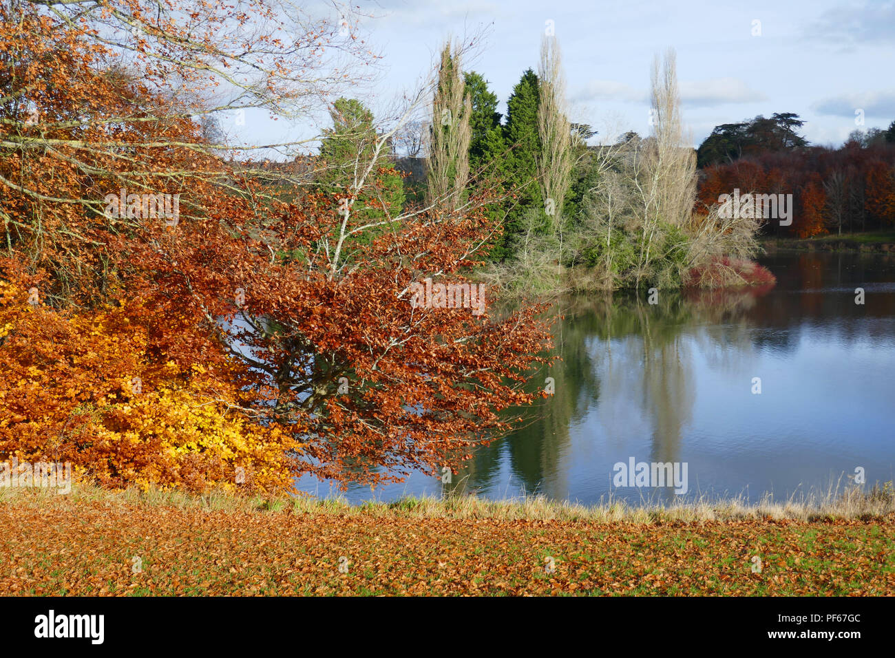 Autumn in the grounds of Blenheim Palace, UK Stock Photo - Alamy
