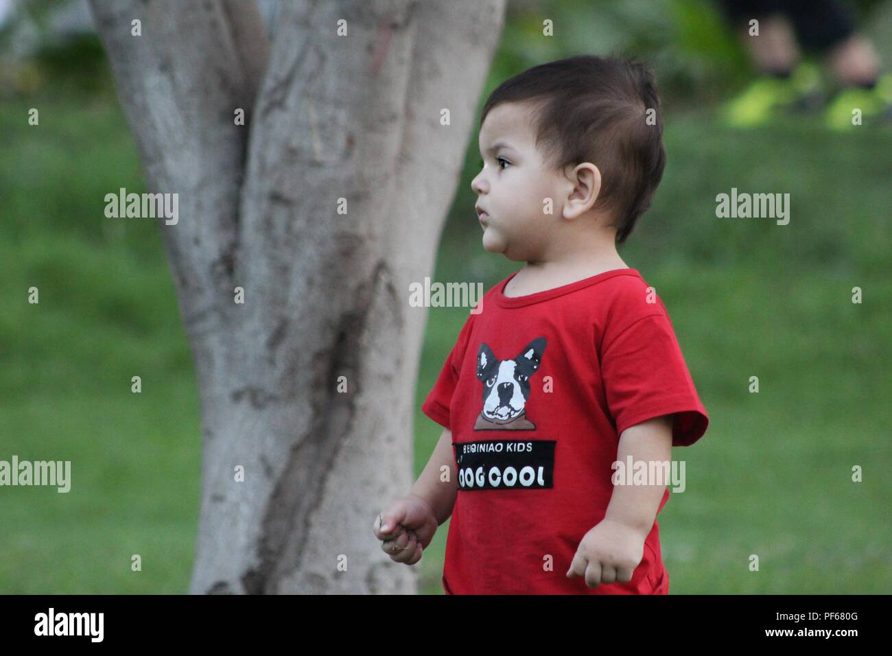 Cute Kid Random Clicks Stock Photo - Alamy