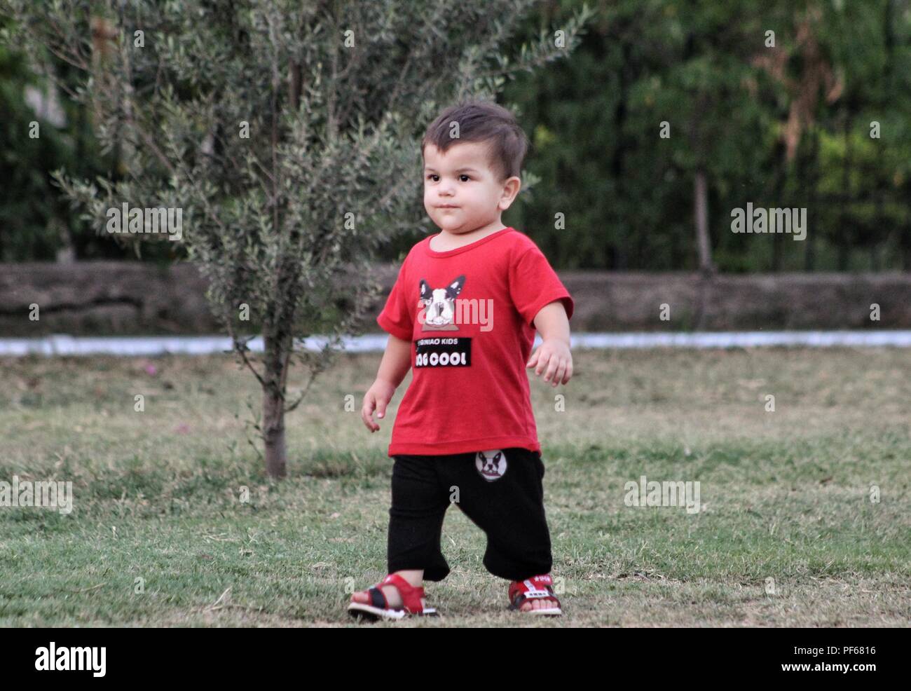 Cute Kid Random Clicks Stock Photo - Alamy