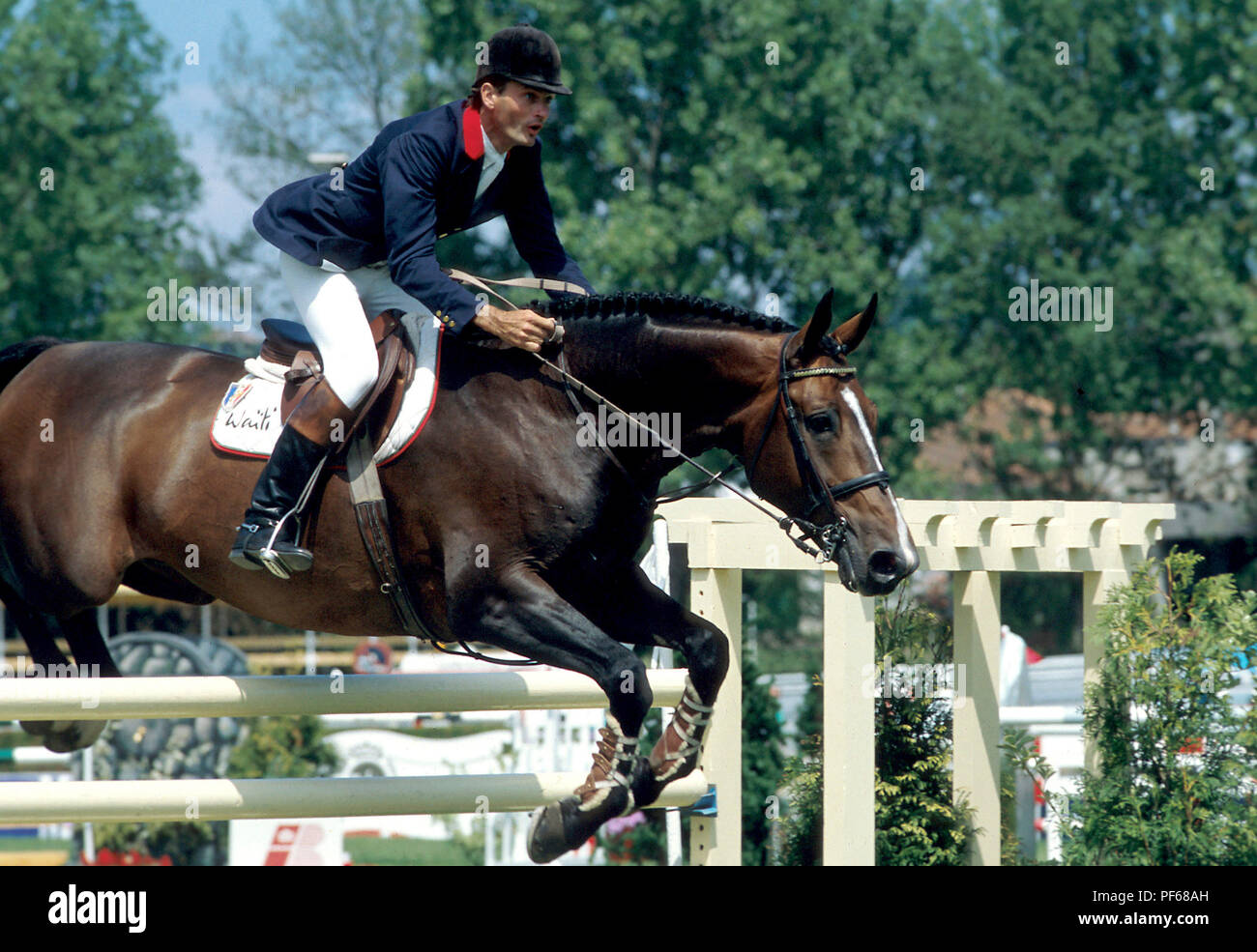 European Championships, Gijon 1993, Eric Navet (FRA) riding Waiti Quito ...