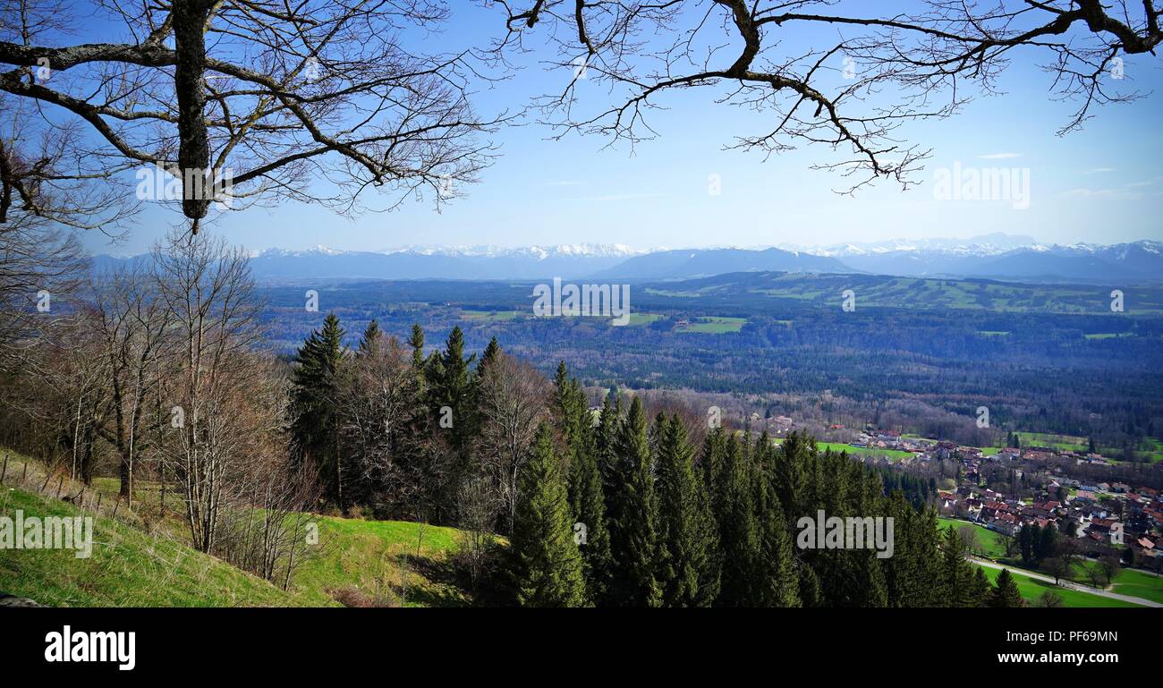 Upland tree hi-res stock photography and images - Alamy