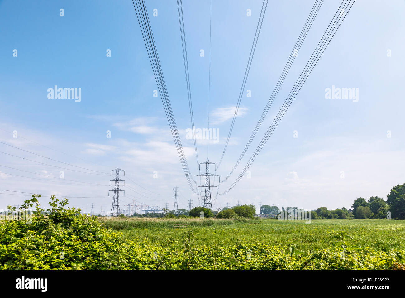 Electricity pylons and overhead power cables in reed beds, Lower Test ...