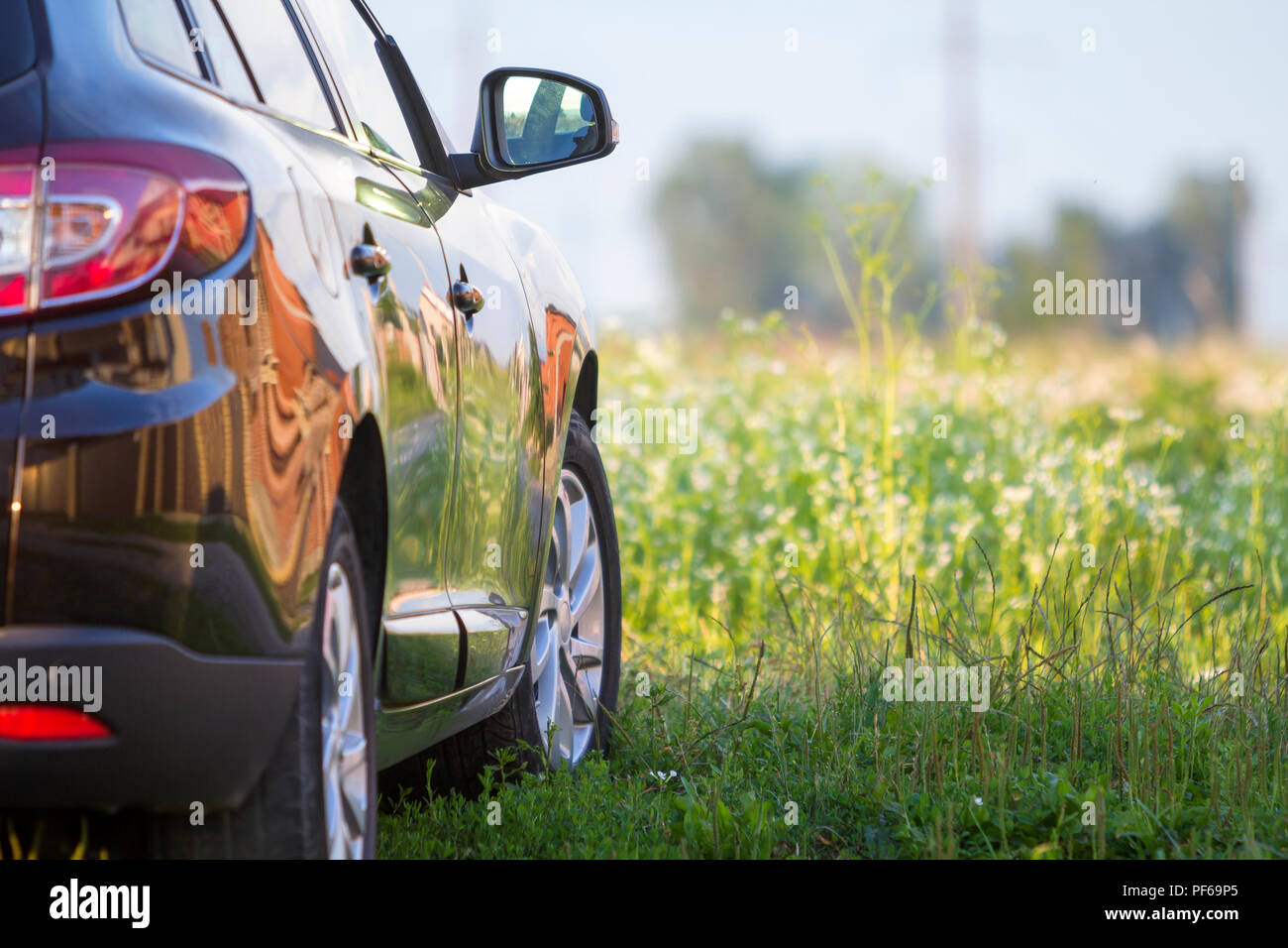 Back view of modern new shiny empty black car parked outside road in ...