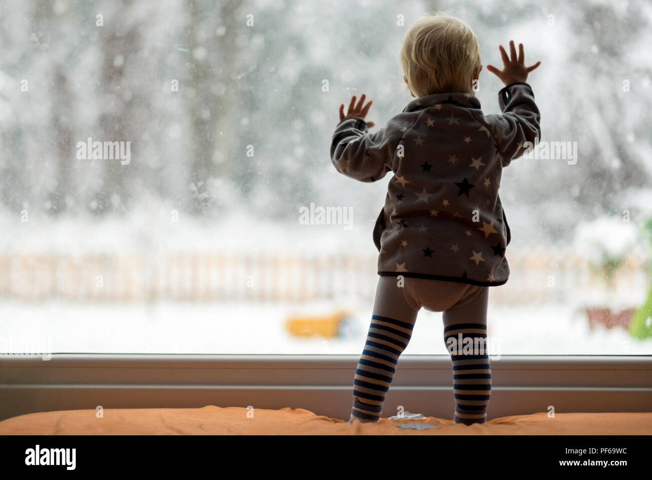 View form behind of toddler child standing in front of a big window ...