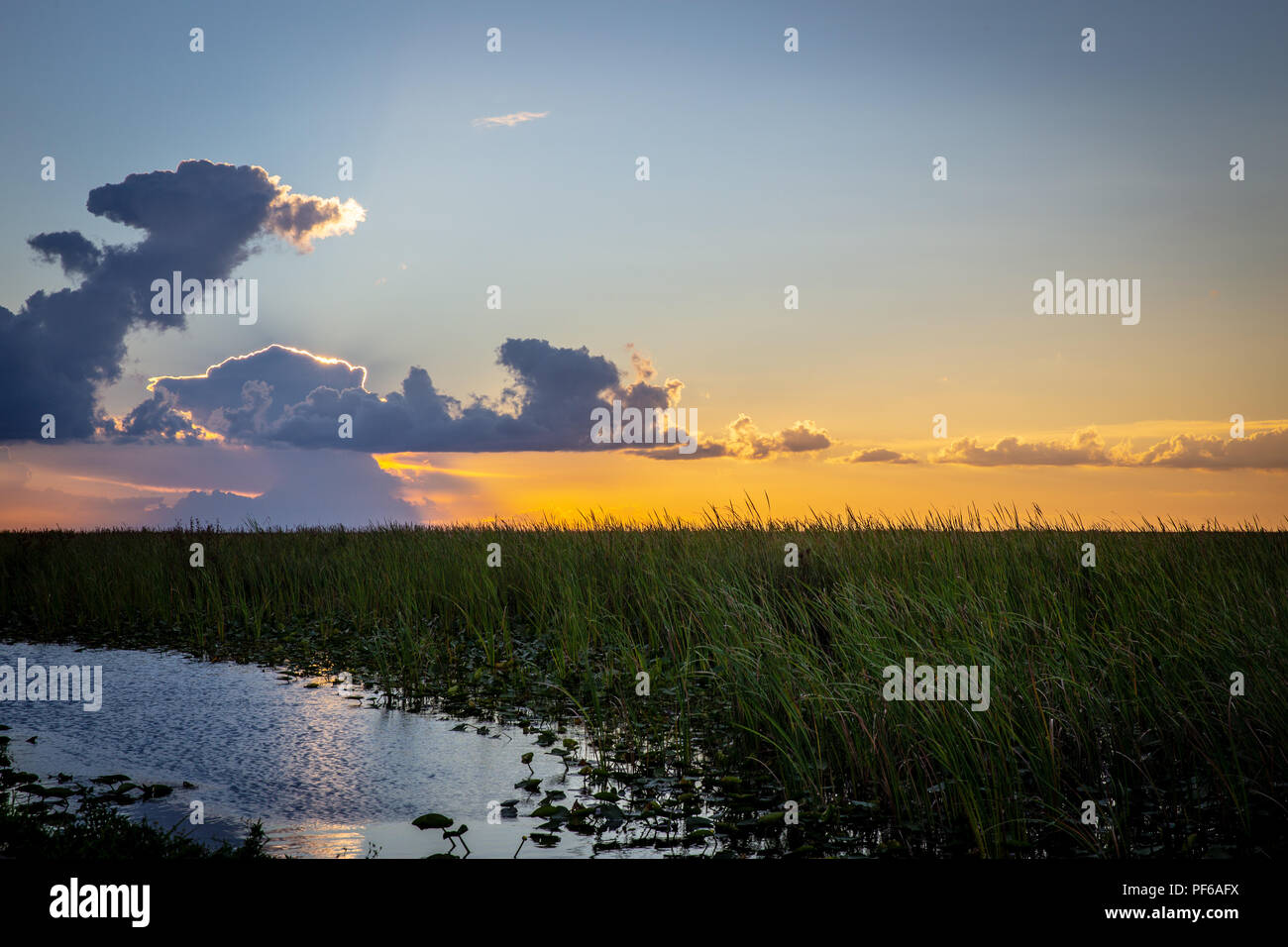 Everglades sawgrass sunset hi-res stock photography and images - Alamy