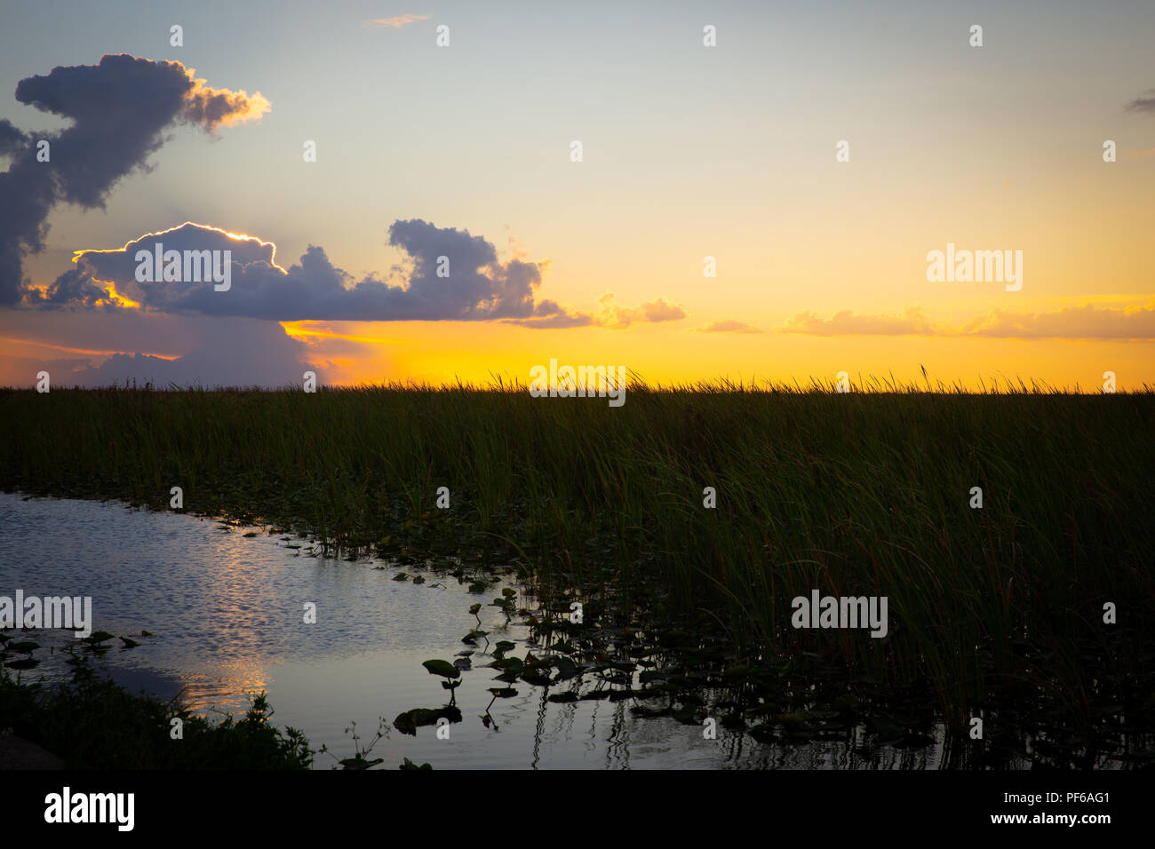 Blocking the sun hi-res stock photography and images - Alamy