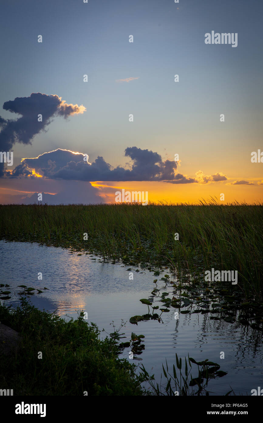 Sunset over the Everglades Stock Photo - Alamy