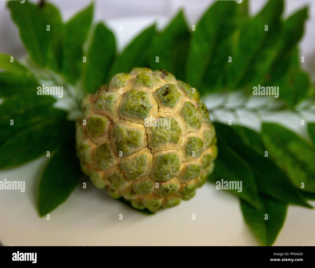 Custard Apple on a Plate, ripe ready to eat Stock Photo - Alamy