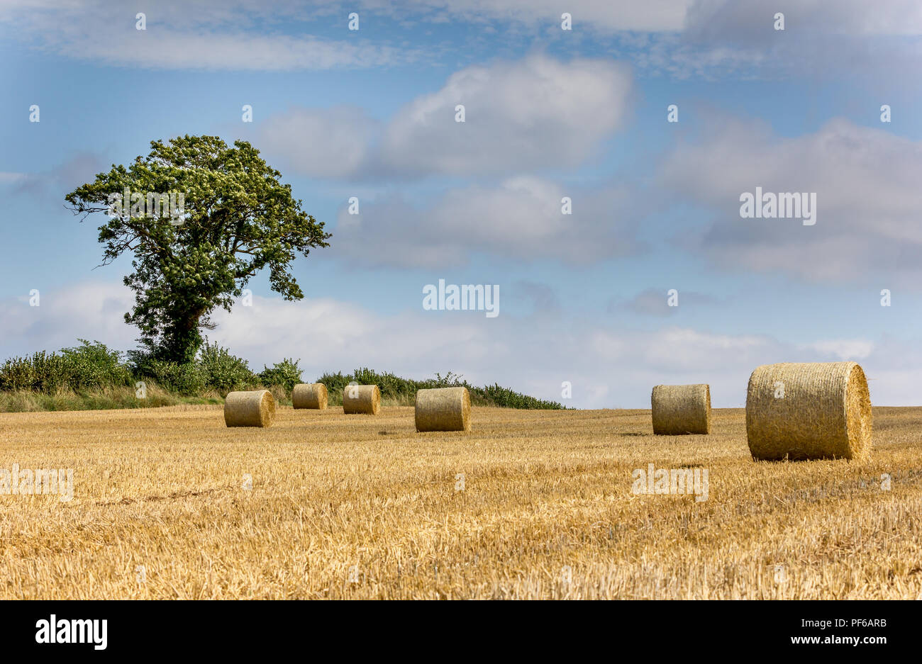 British quintessential countryside after the harvest Stock Photo - Alamy