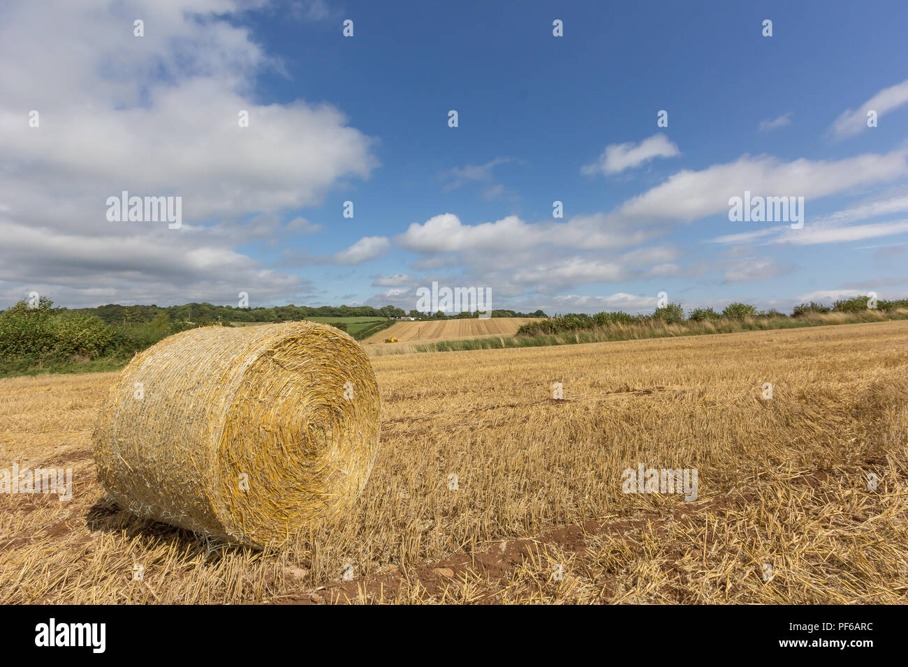 British quintessential countryside after the harvest Stock Photo - Alamy