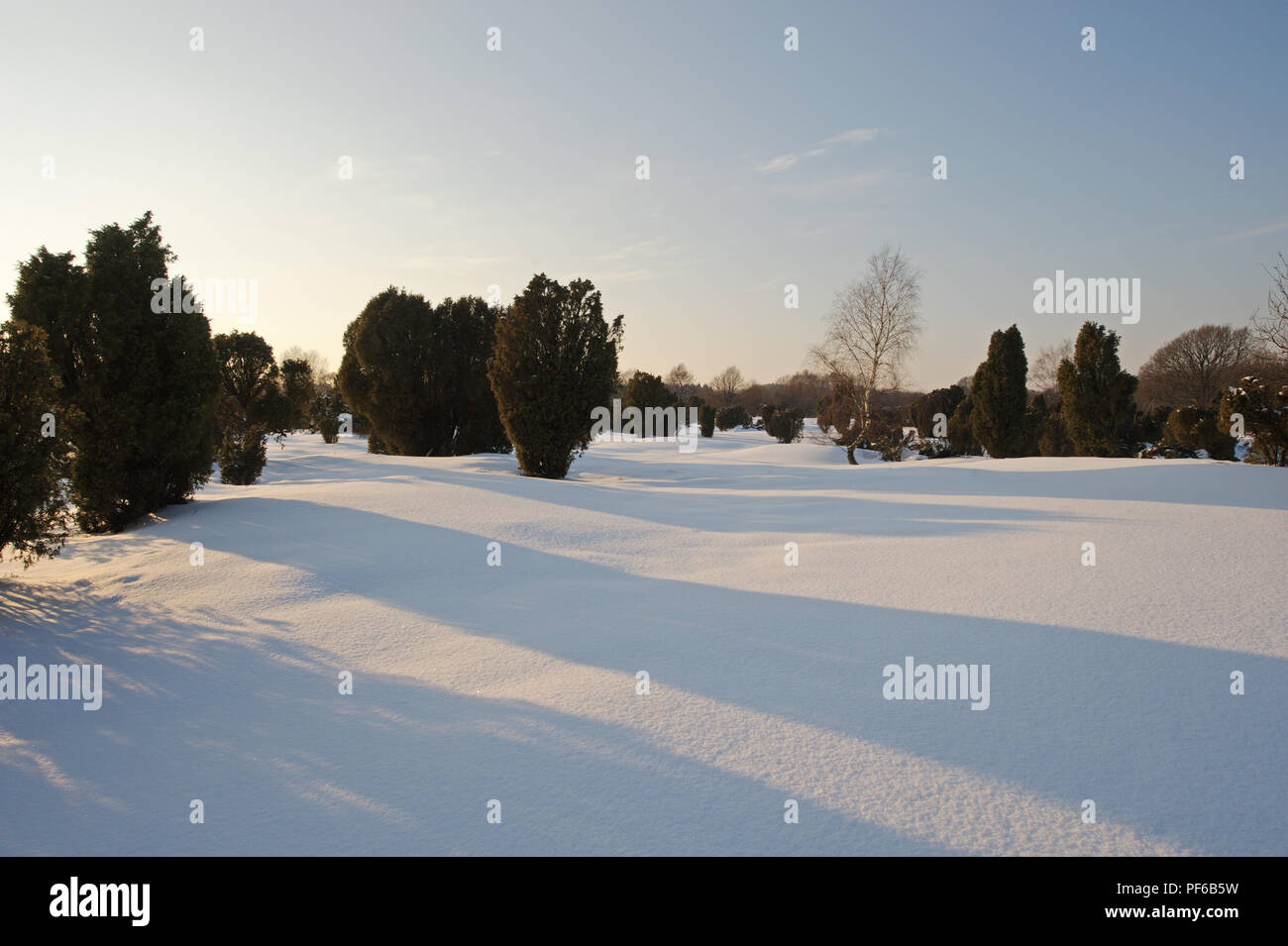 Naturpark Lüneburger Heide, Winterlandschaft bei Wilsede, Gemeinde ...