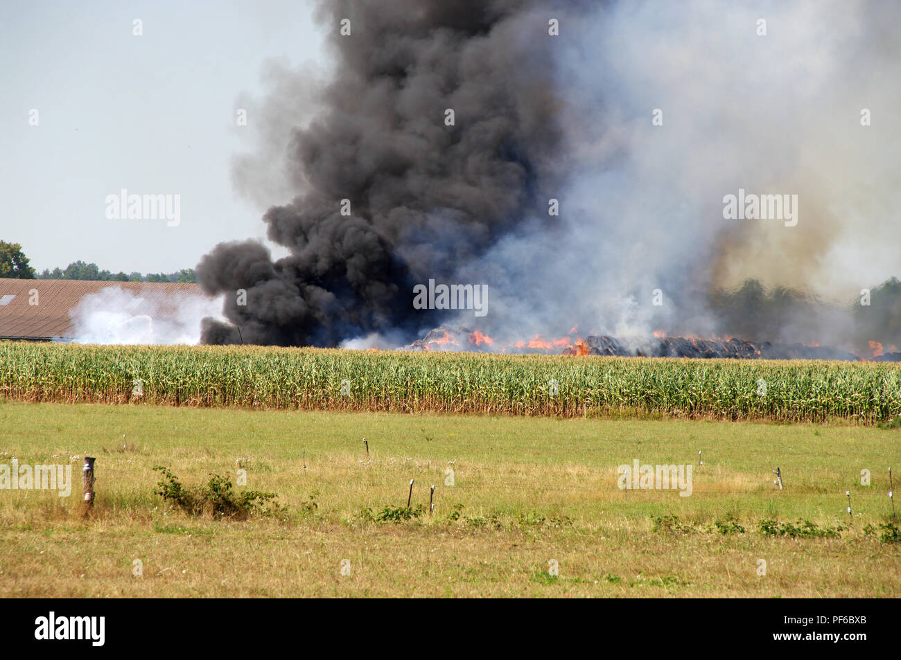 The fire at hot summer in a rural farm Stock Photo - Alamy