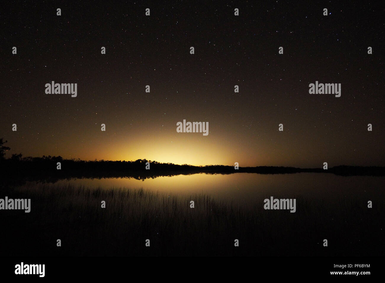 Night sky over Nine Mile Pond in Everglades national Park, Florida ...