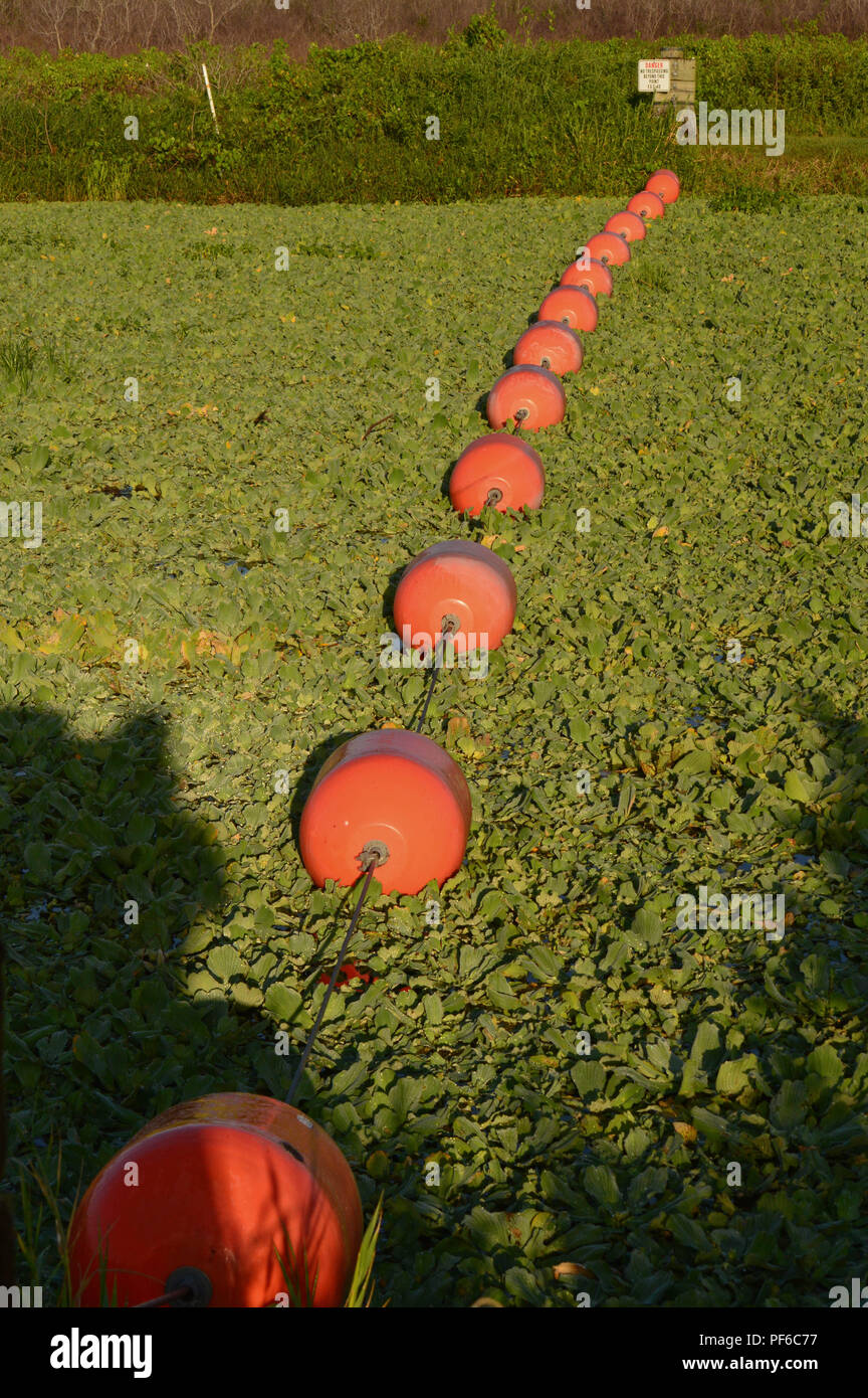 Closeup View Outdoor Photography Bright Orange Buoys Floats String ...