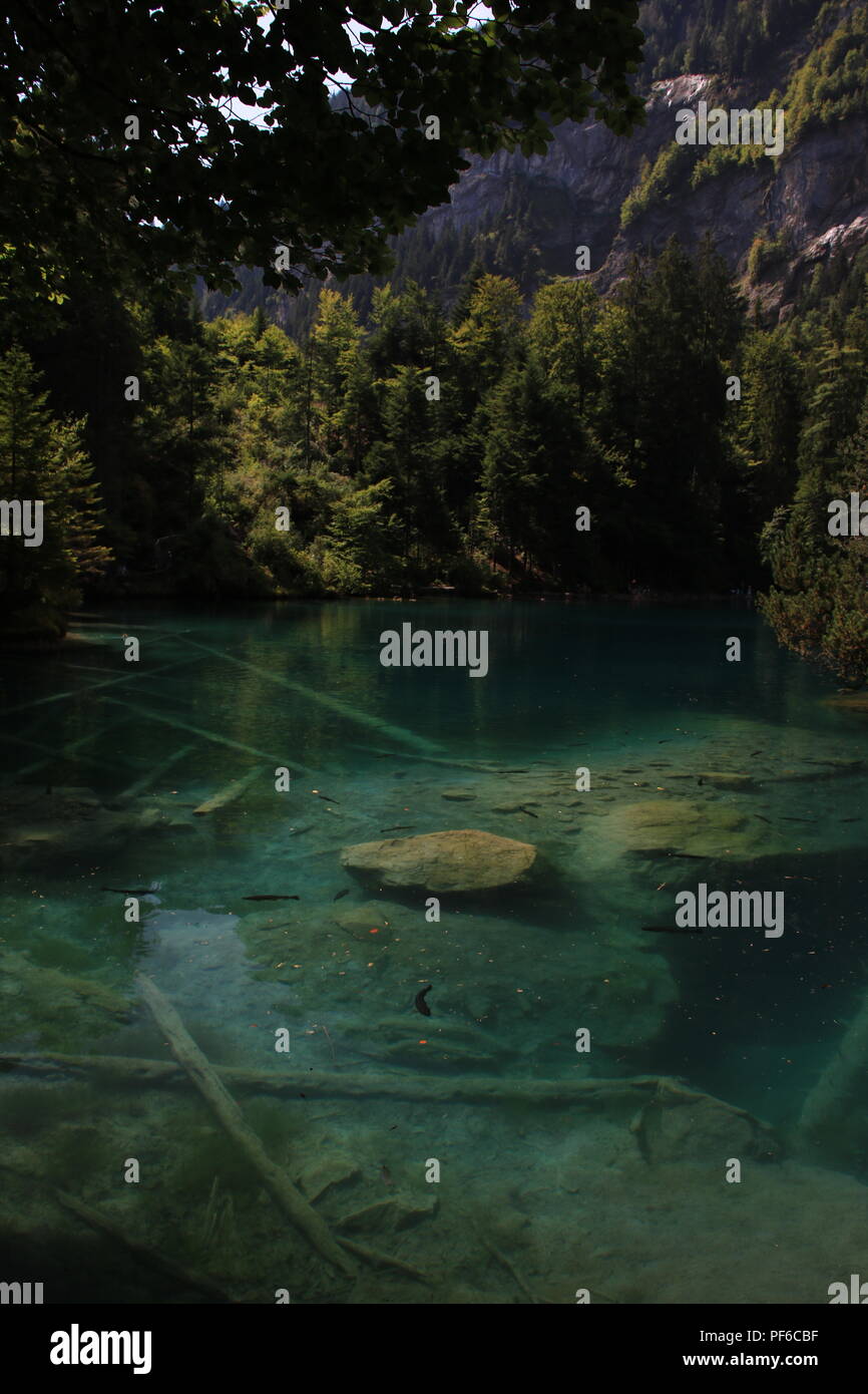 Blausee switzerland hi-res stock photography and images - Alamy