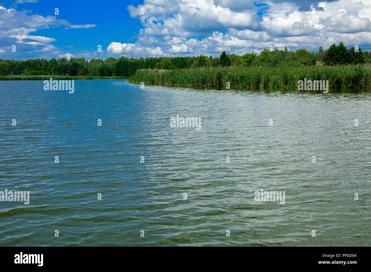 A beautiful image of landscape from the center of the river, surrounded ...