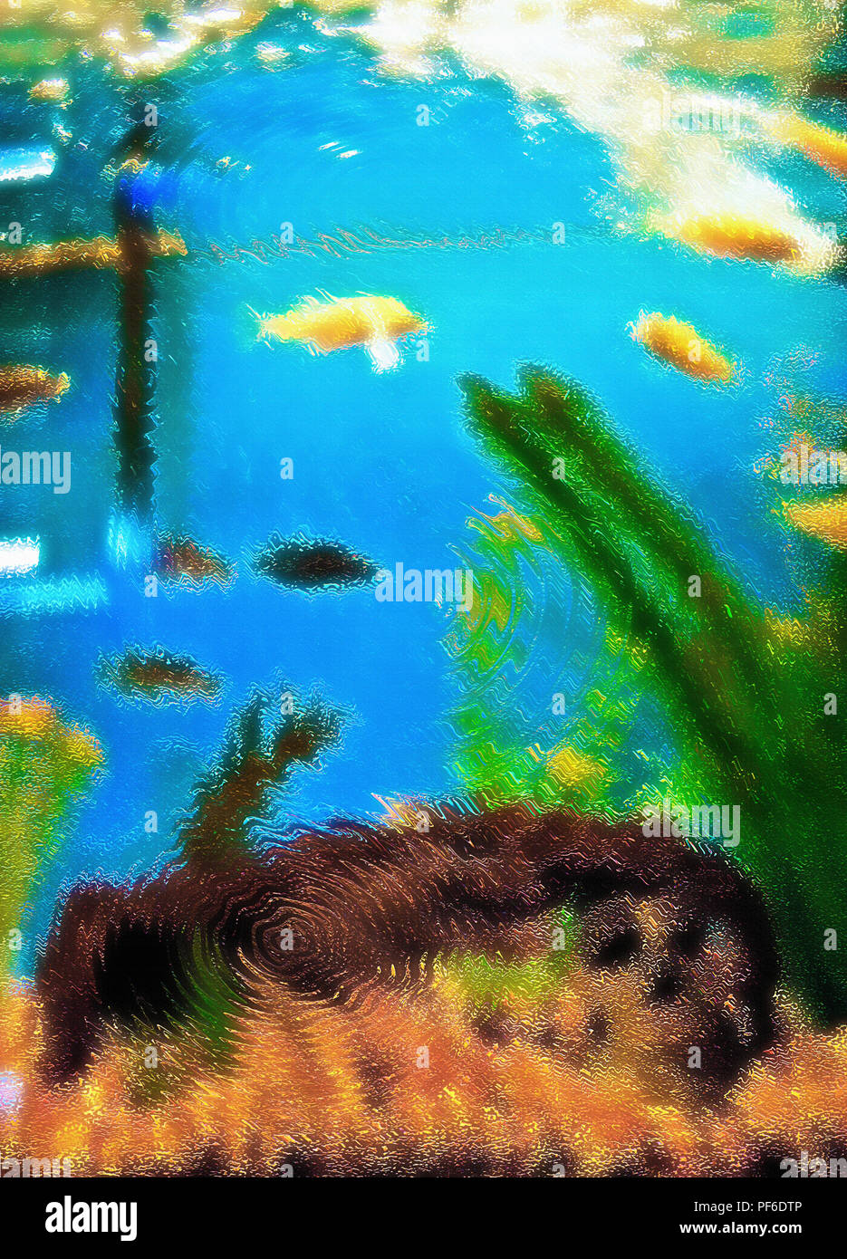 Colorful abstract underwater photograph hi-res stock photography and ...