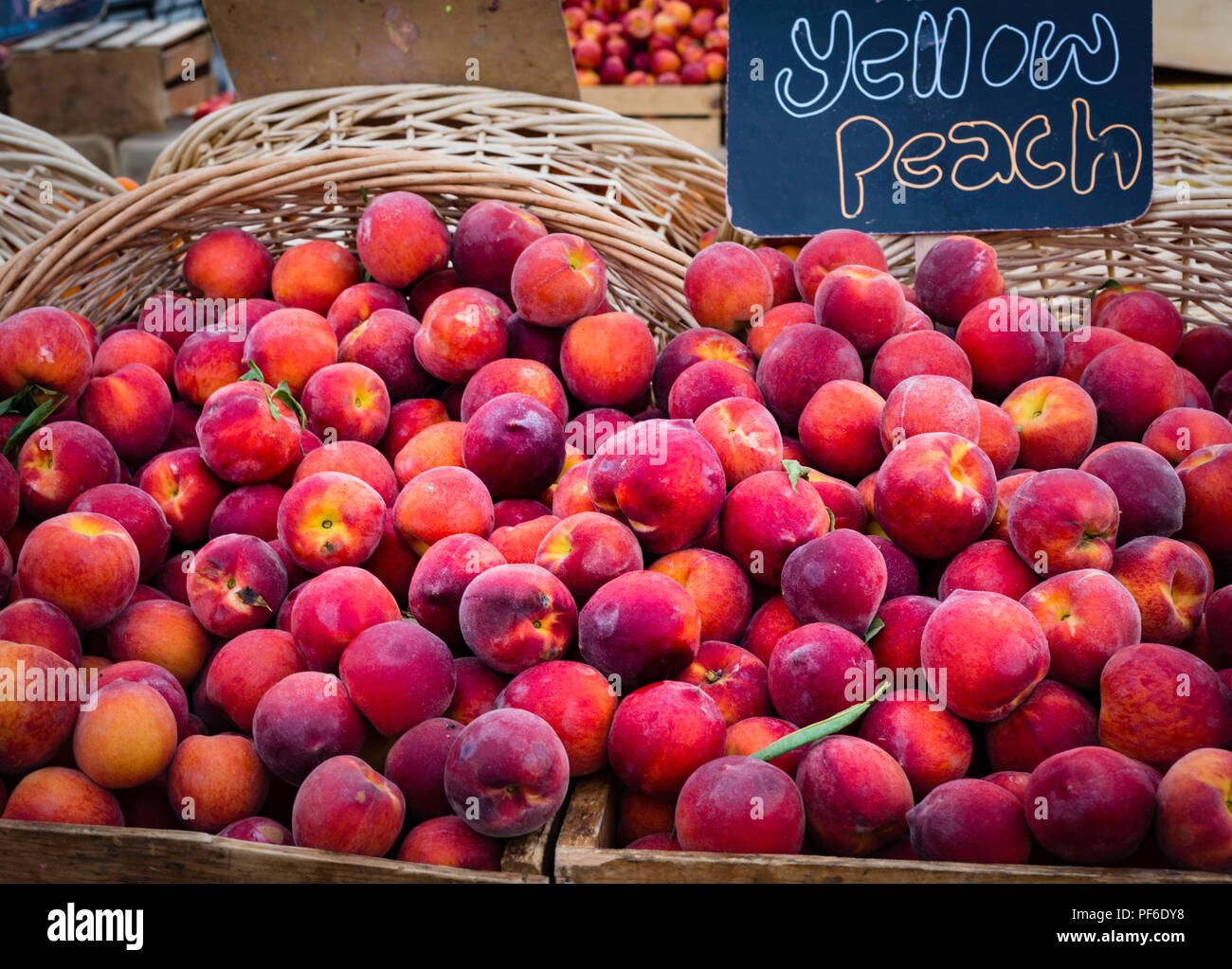 Best summer ever hi-res stock photography and images - Alamy