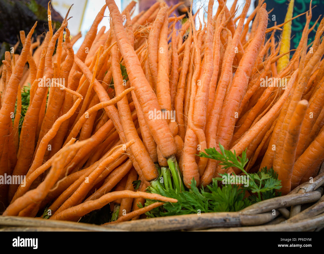 Carrots stacked hi-res stock photography and images - Alamy