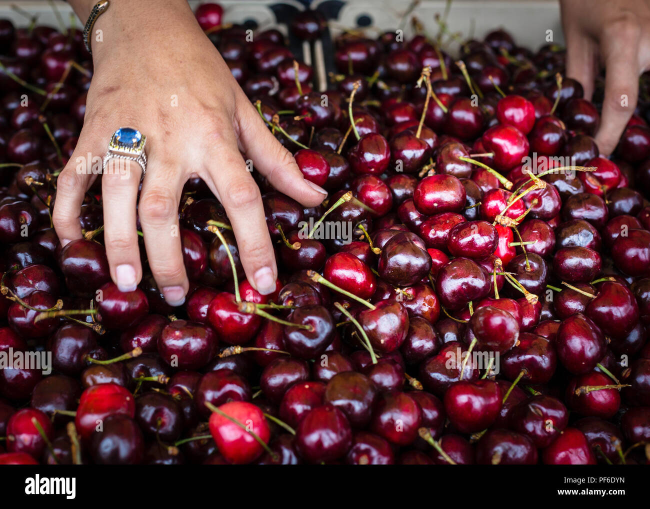 Salivating hi-res stock photography and images - Alamy