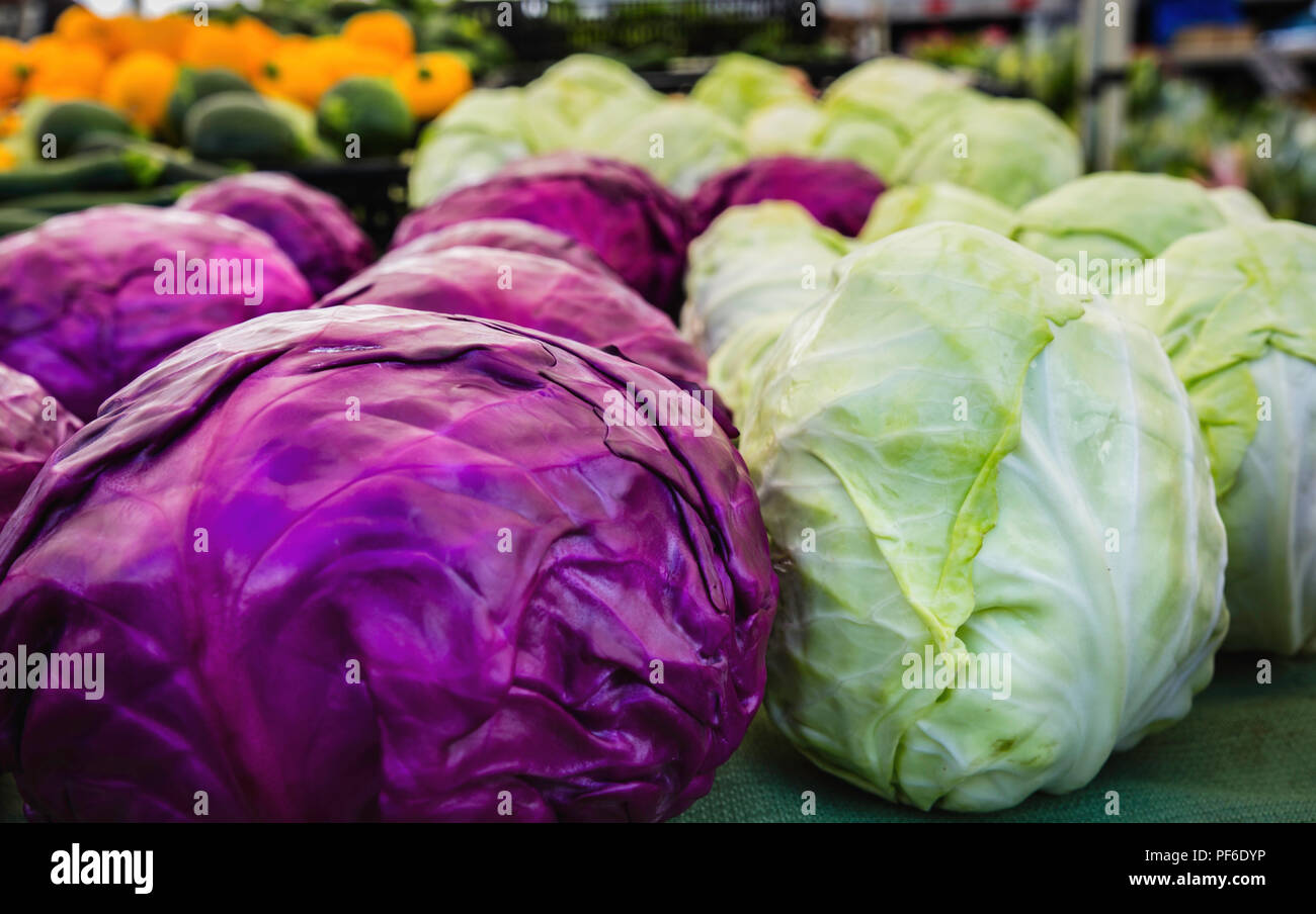 Market garden cabbages hi-res stock photography and images - Alamy