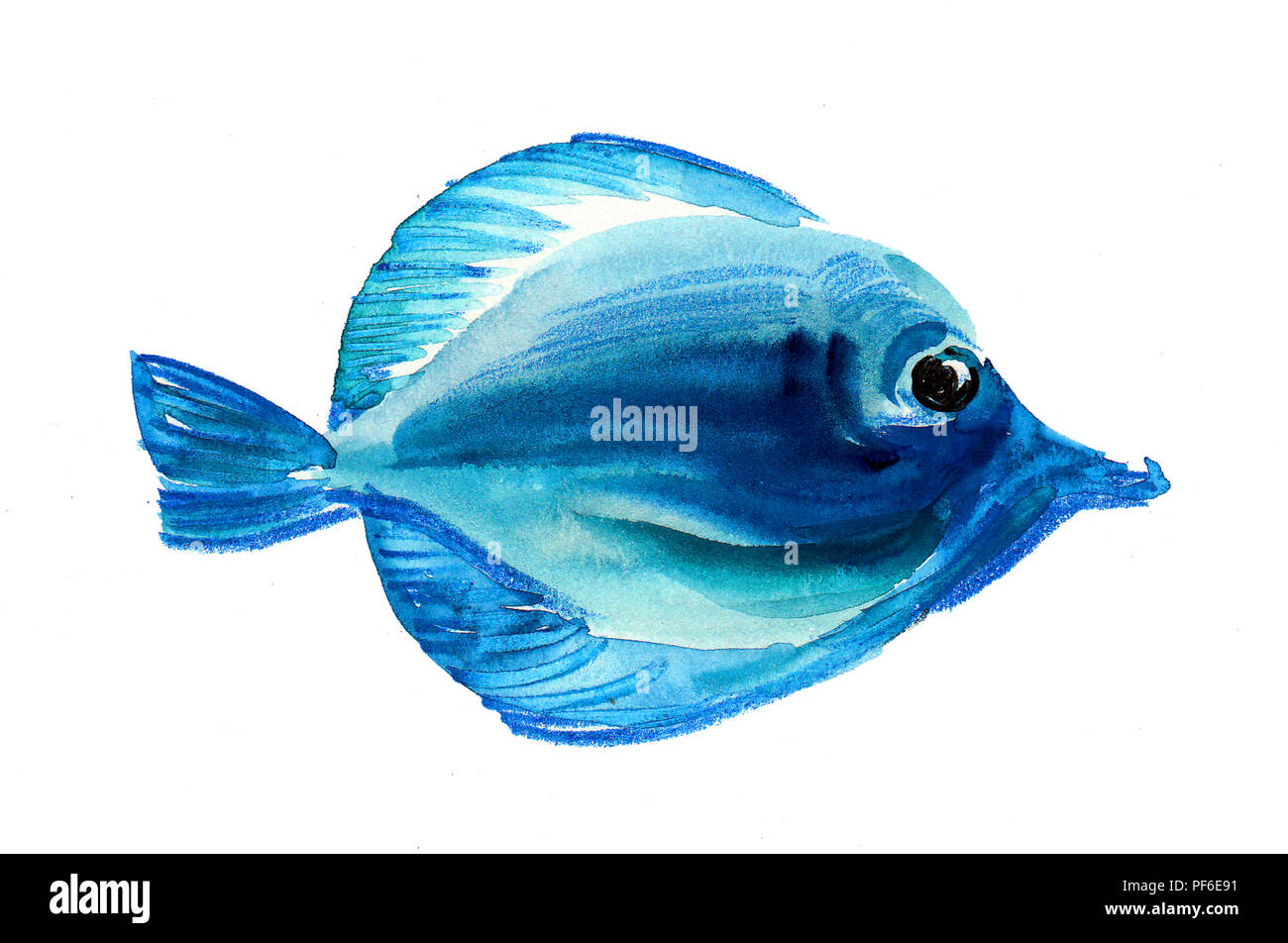 Watercolor blue fish Stock Photo - Alamy