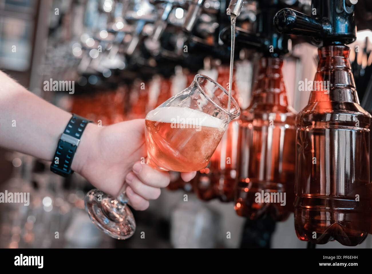 Busy barman pouring craft beer into the glasses on Sunday night Stock ...