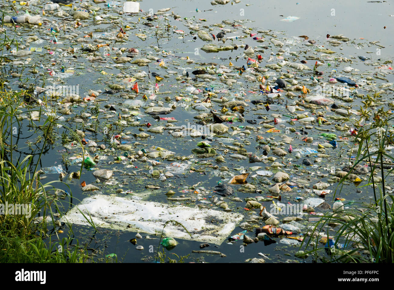 Plastic garbage in lake hi-res stock photography and images - Alamy