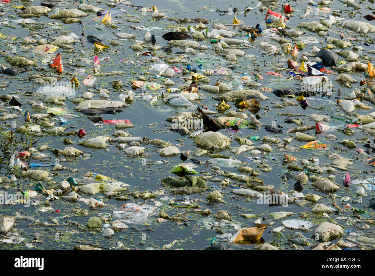 Plastic bags, bottles and other trash in Lake Pichola, Udaipur, India ...