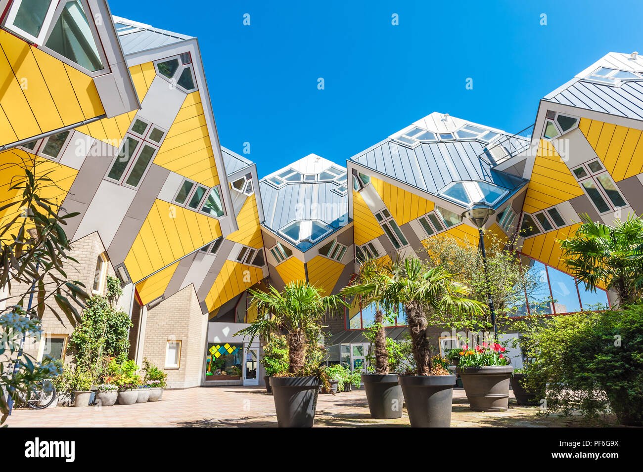 Beautiful square inside yellow cube houses in Rotterdam, Netherlands ...
