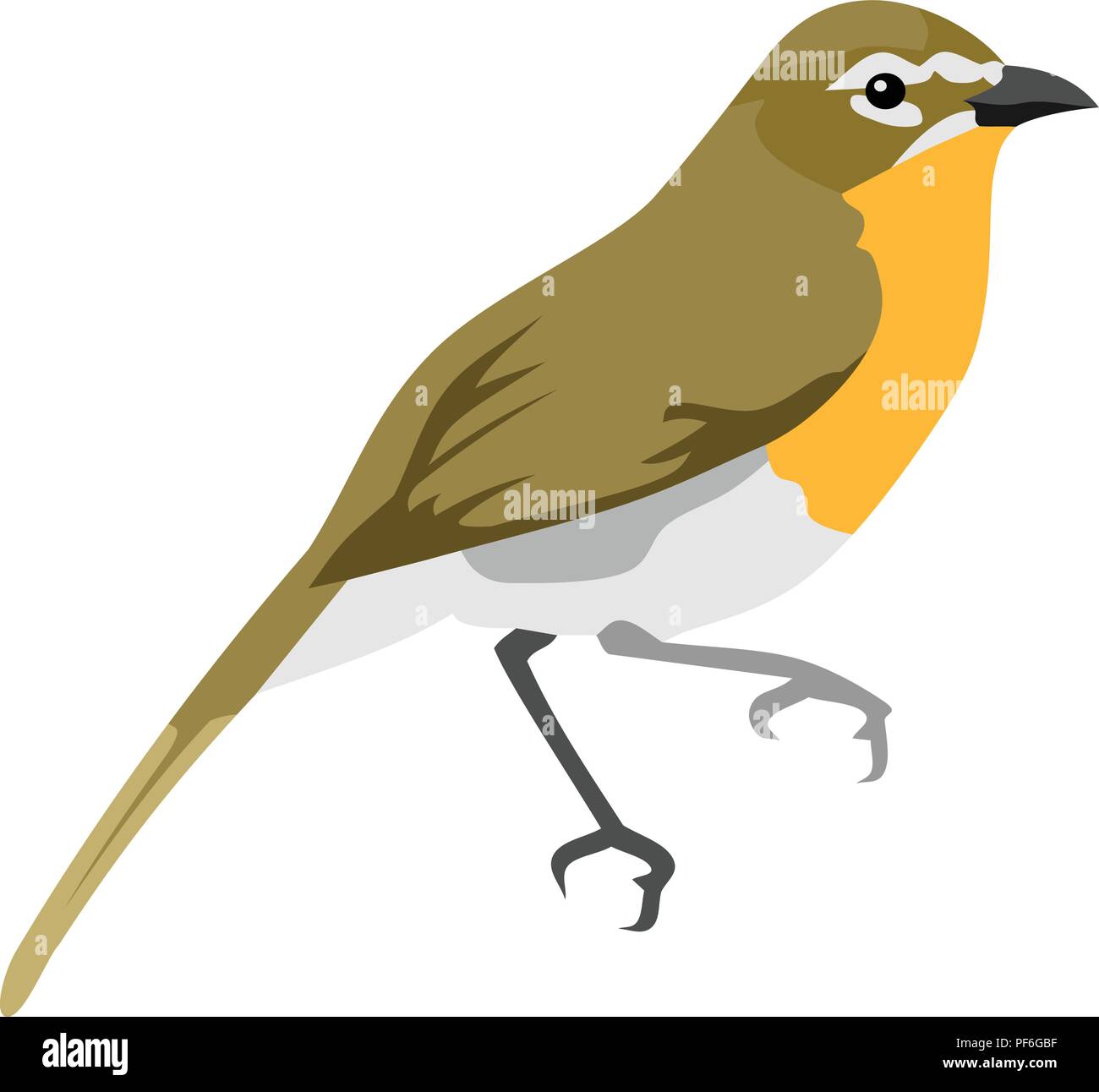 Brown Yellow Bird Animal Vector Stock Vector Image & Art - Alamy