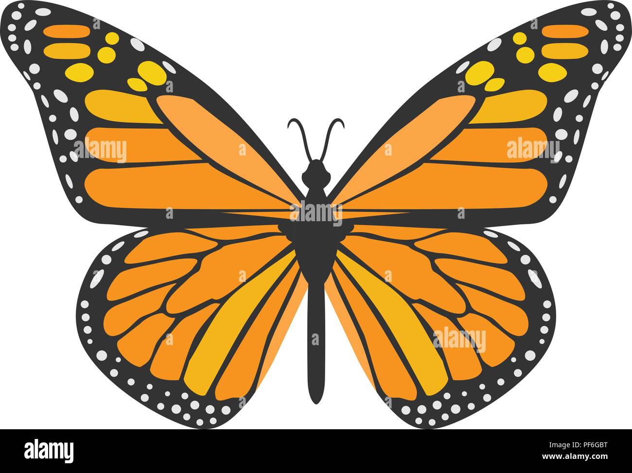 Orange Butterfly Insect Animal Vector Stock Vector Image & Art - Alamy