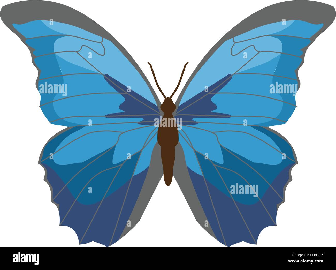 Blue Butterfly Insect Animal Vector Stock Vector Image & Art - Alamy
