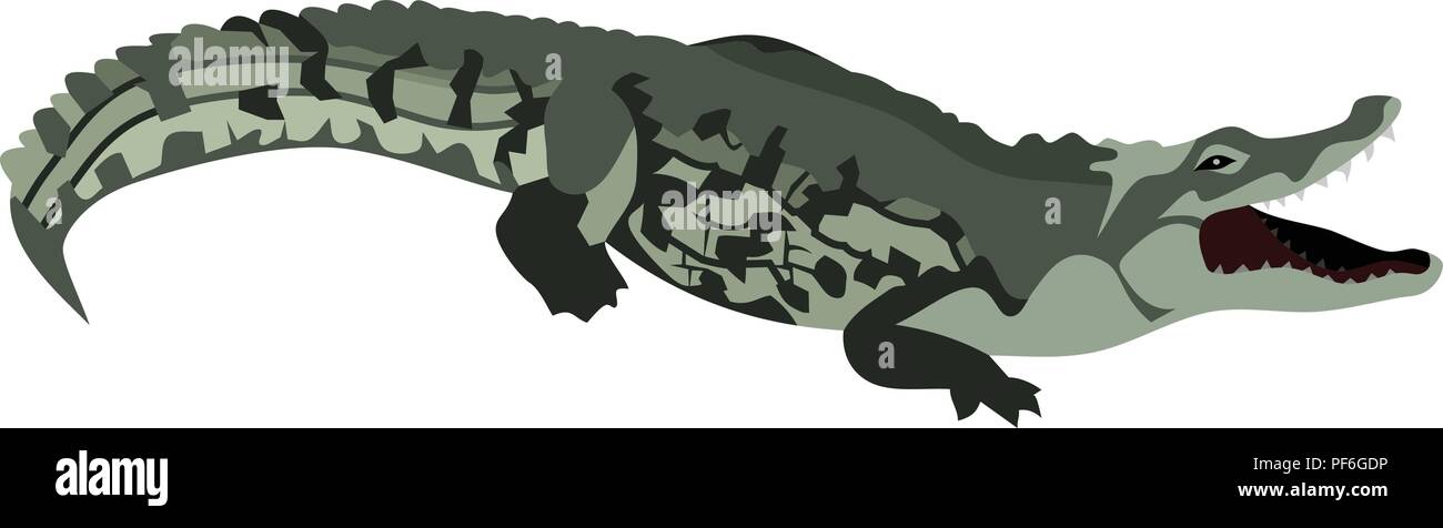 Crocodile Reptile Animal Vector Stock Vector Image & Art - Alamy