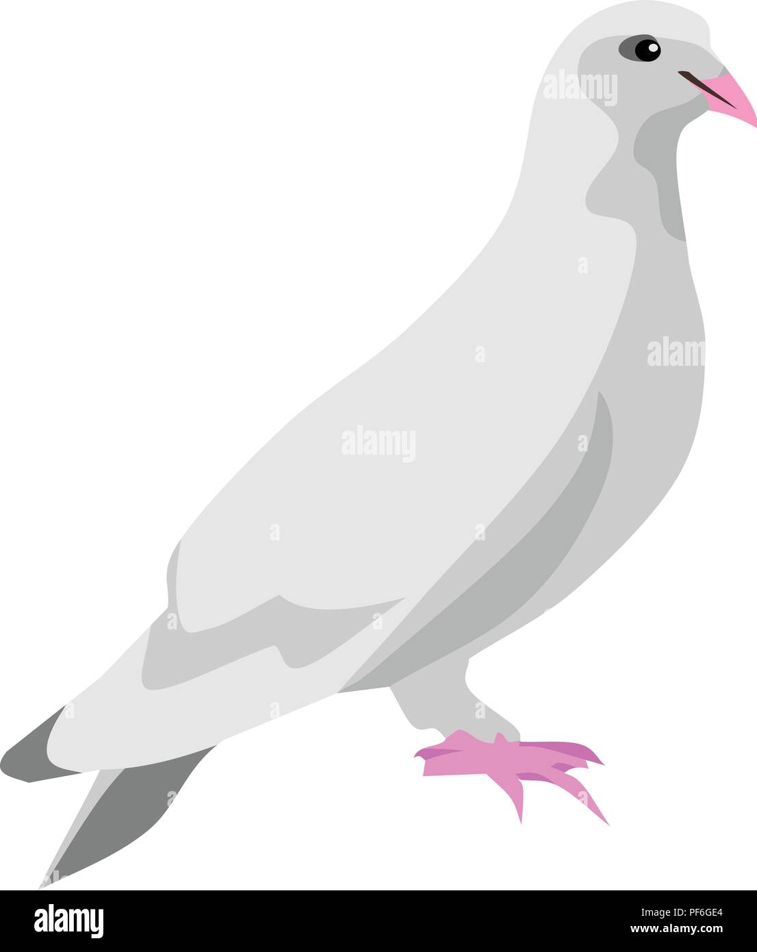 White Dove Bird Animal Vector Stock Vector Image & Art - Alamy