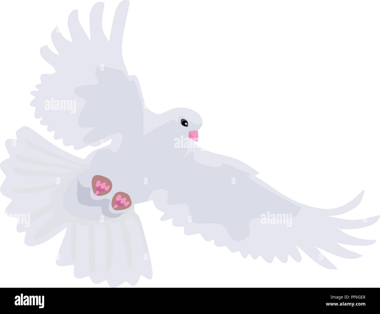Flying White Dove Bird Animal Vector Stock Vector Image & Art - Alamy