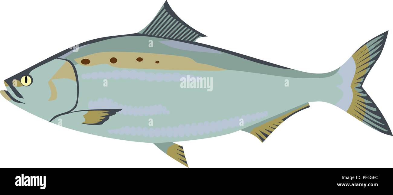 Green Fish Animal Stock Vector Image & Art - Alamy
