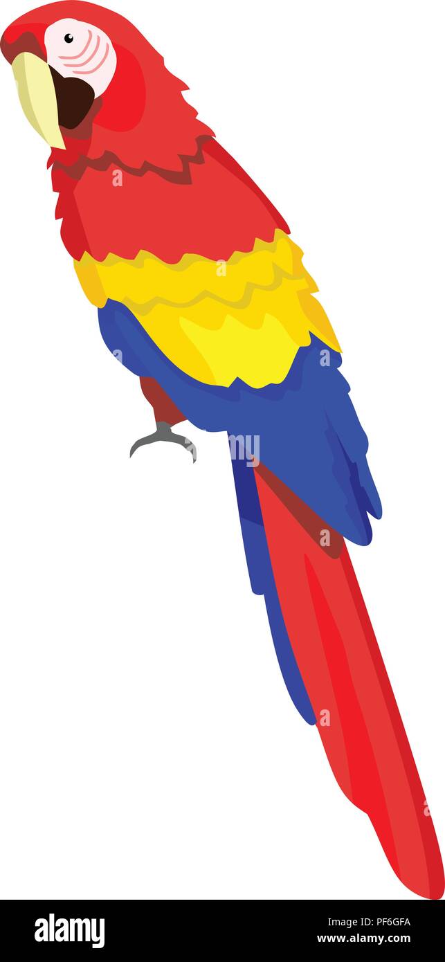 Parrot Bird Animal Vector Stock Vector Image & Art - Alamy