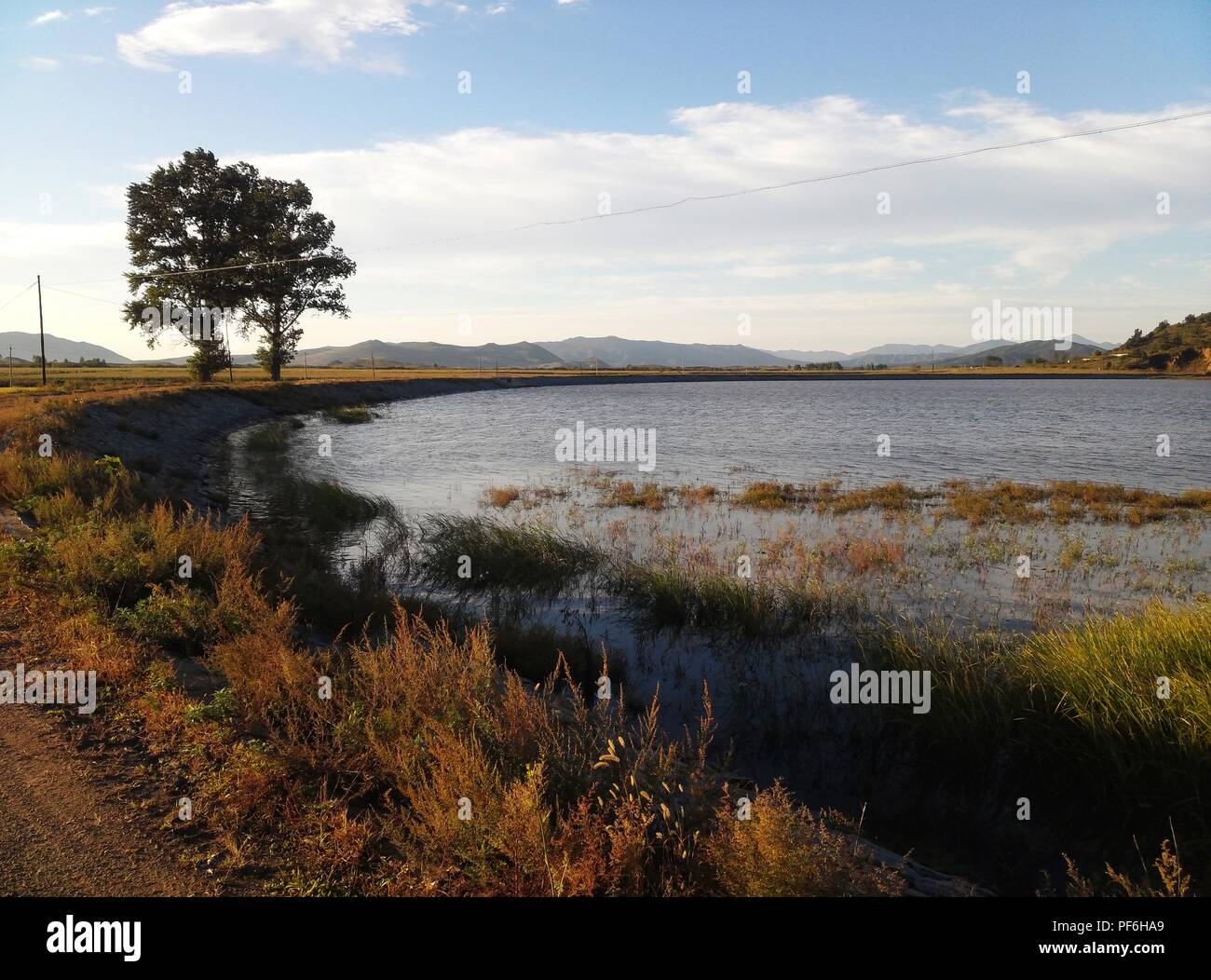 reservoir with lonely tree Stock Photo - Alamy