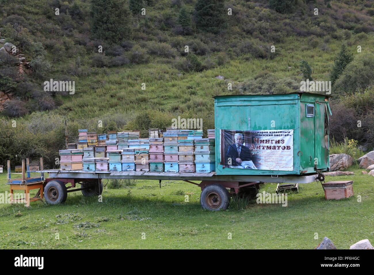 Bee farm hi-res stock photography and images - Alamy