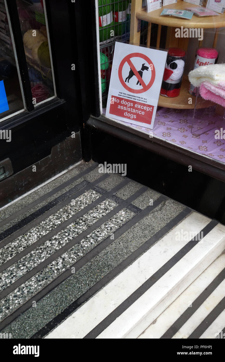 No dogs allowed except assistant dogs sign hi-res stock photography and ...