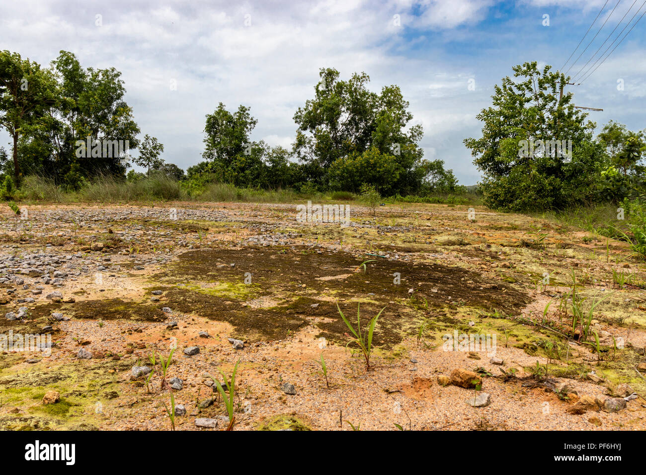 A beautiful scenery of orange soil, green plants and trees and blue sky ...