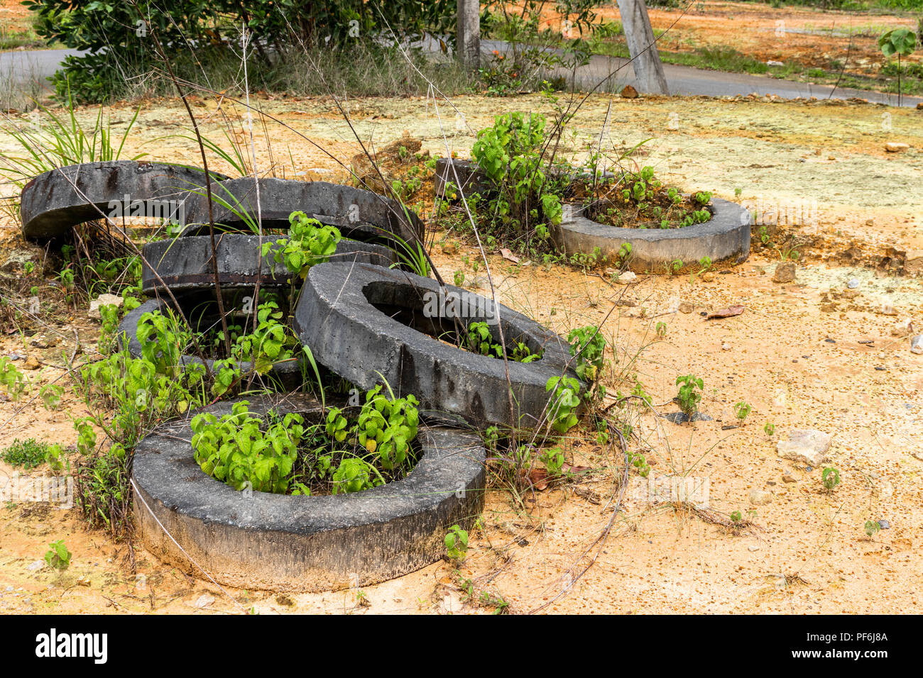 Plants growing in abandoned cement rings used for well Stock Photo - Alamy