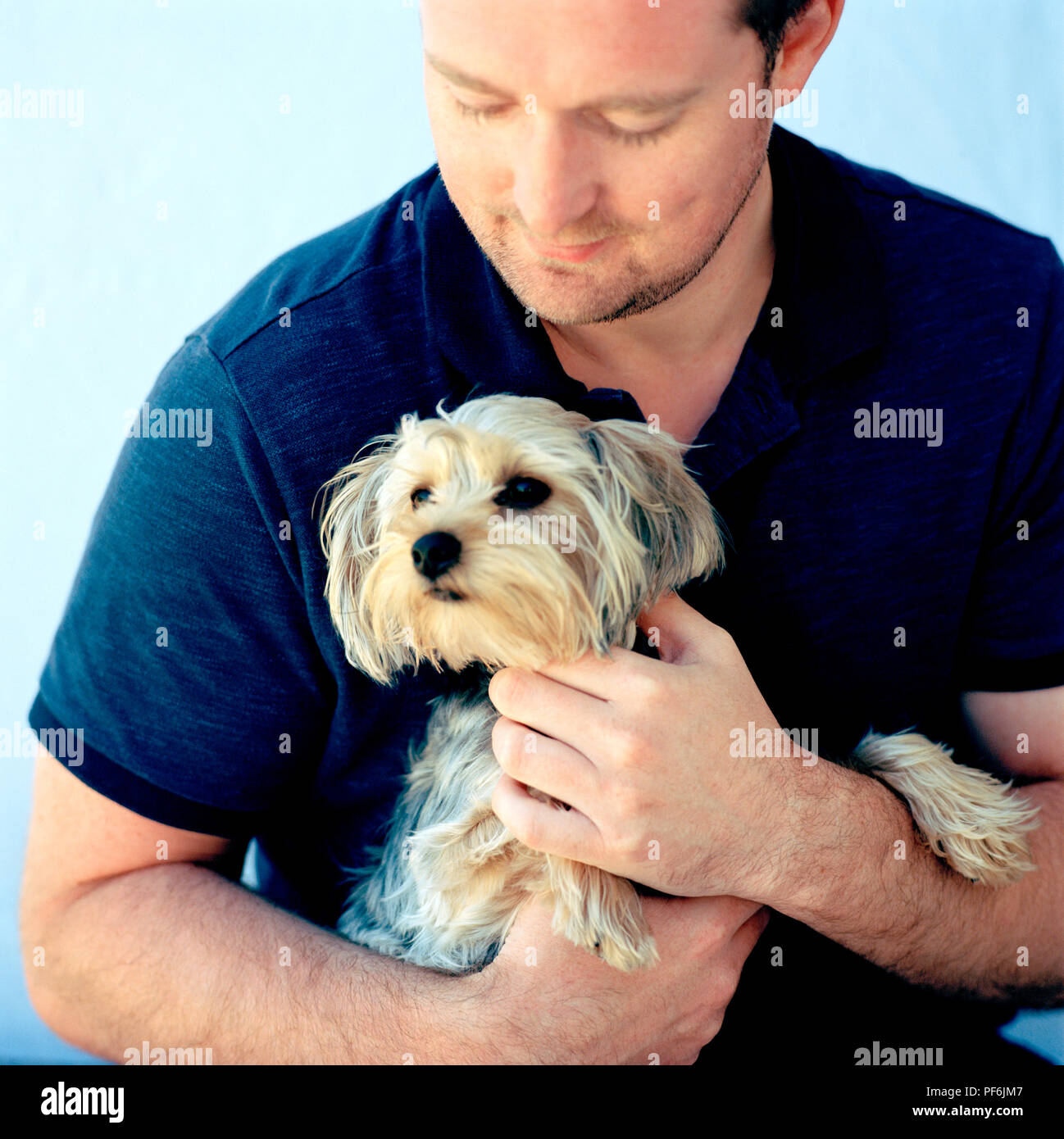 Man with dog - Neal with yorkshire terrier Charlie Stock Photo - Alamy