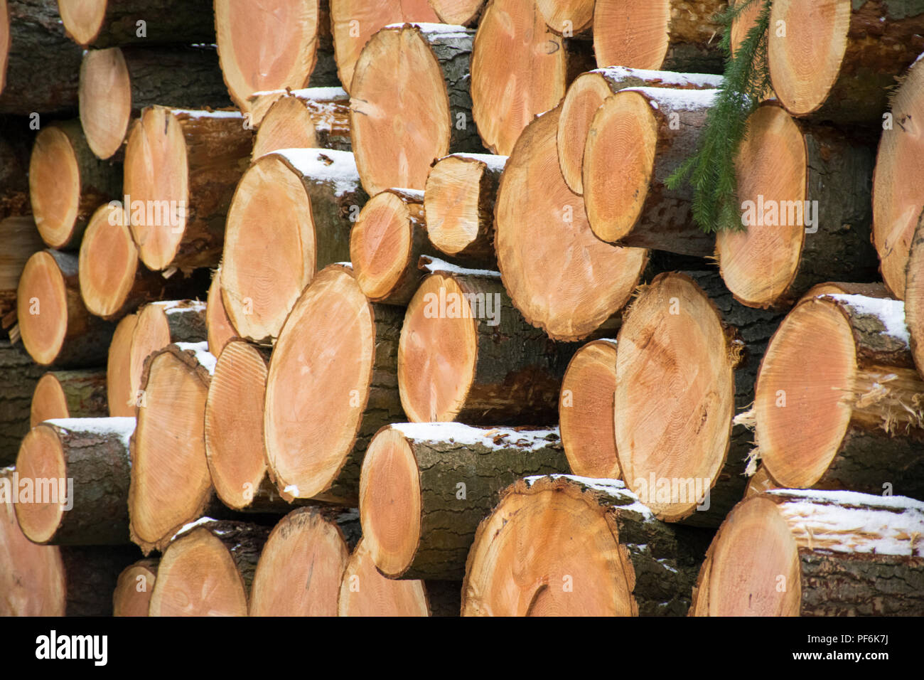 Lumber patterns hi-res stock photography and images - Alamy