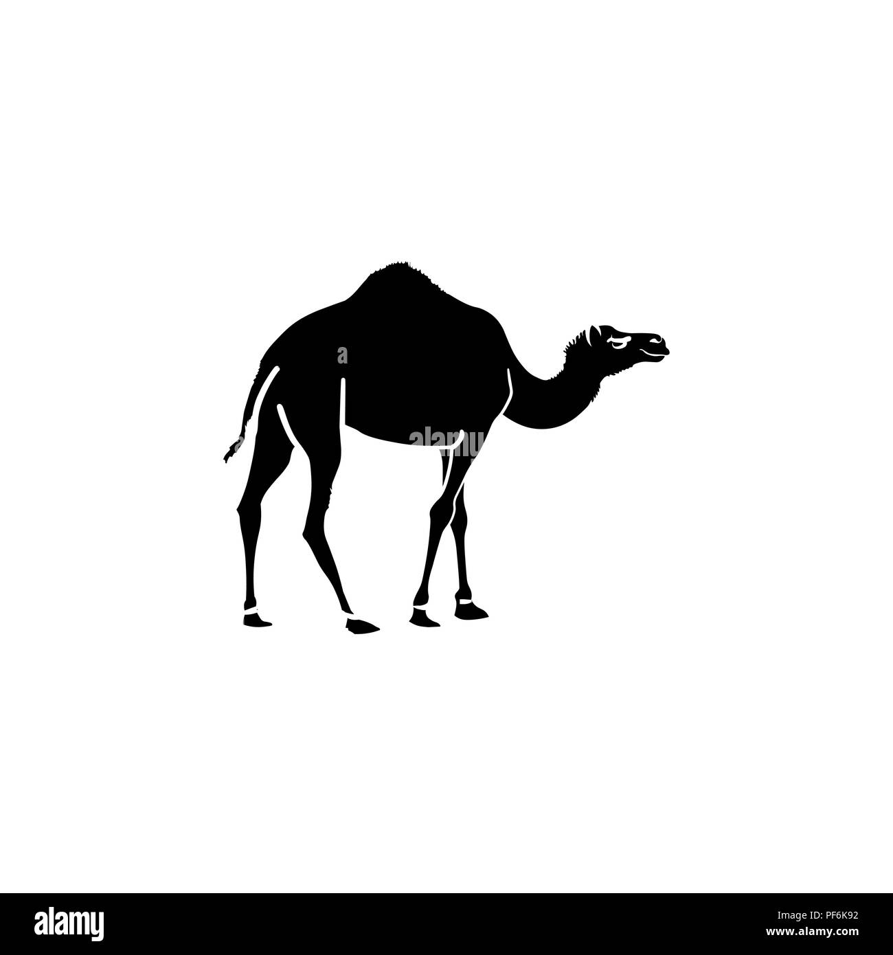 Camel vector icon black on white background Stock Vector Image & Art ...