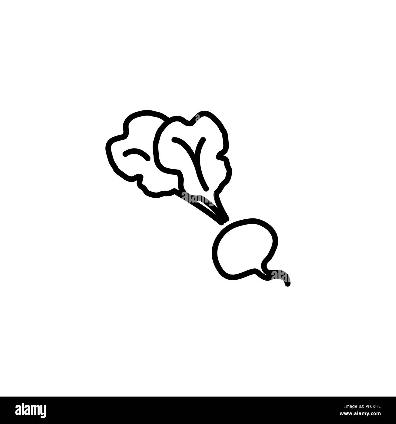 Beetroot plant on farm Stock Vector Images - Alamy