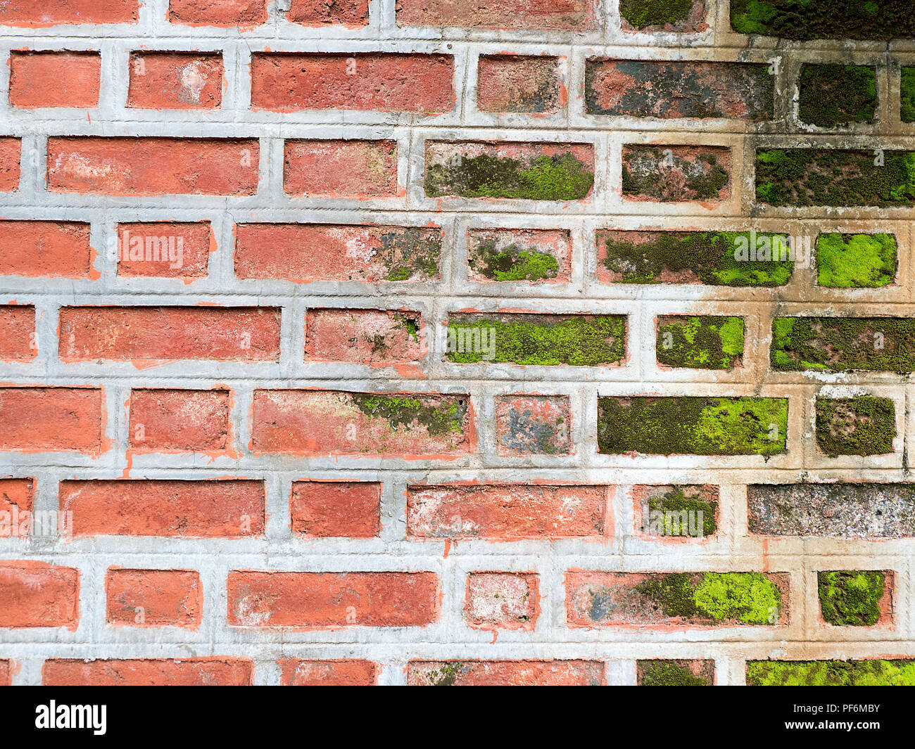 Moss on brick wall hi-res stock photography and images - Alamy