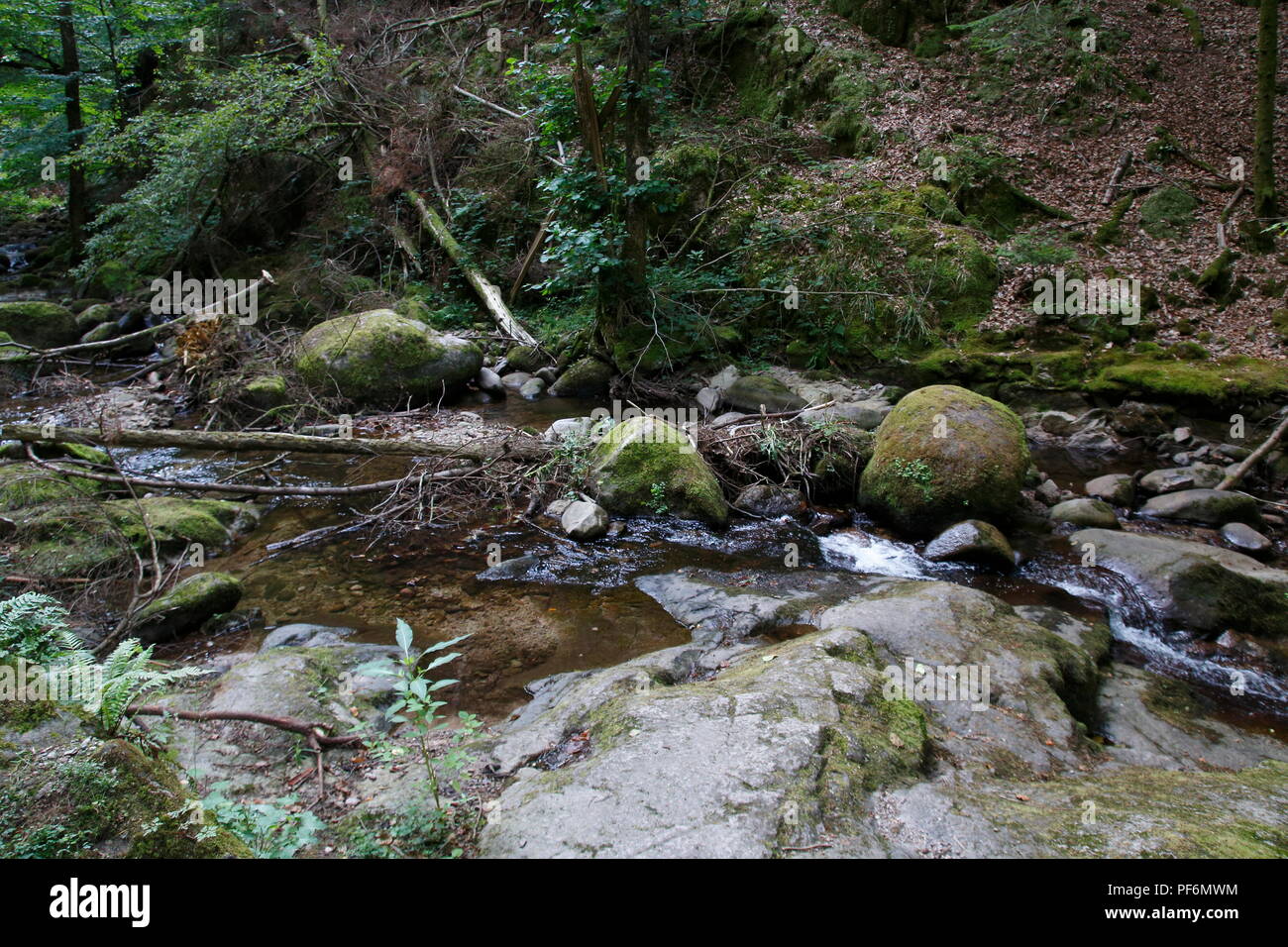 Geroldsau hi-res stock photography and images - Alamy